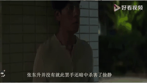 苹果怎么隐藏视频加密图标