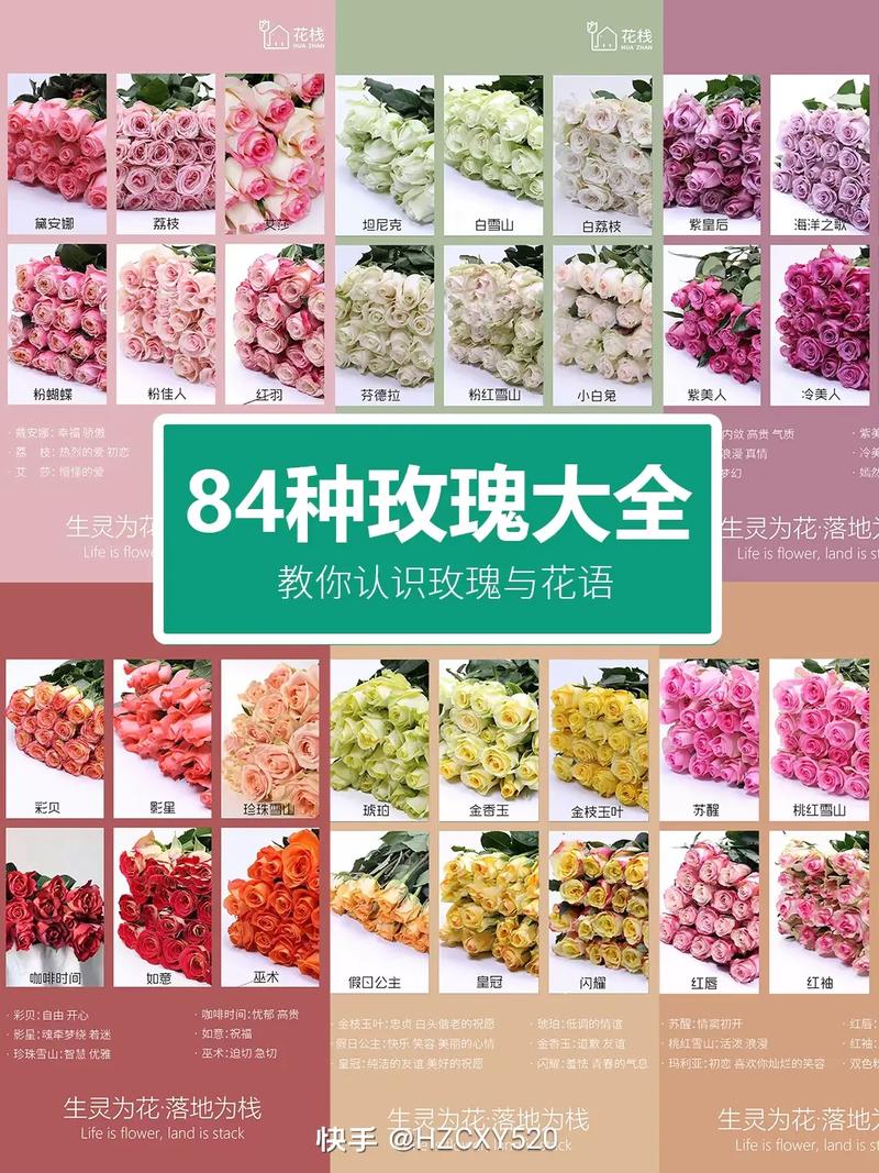 玫瑰花店图标