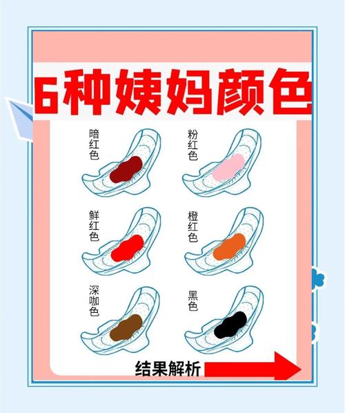 大姨妈循环周期截图