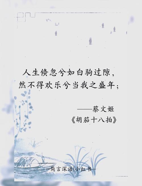 蔡文姬辨琴读后感图标