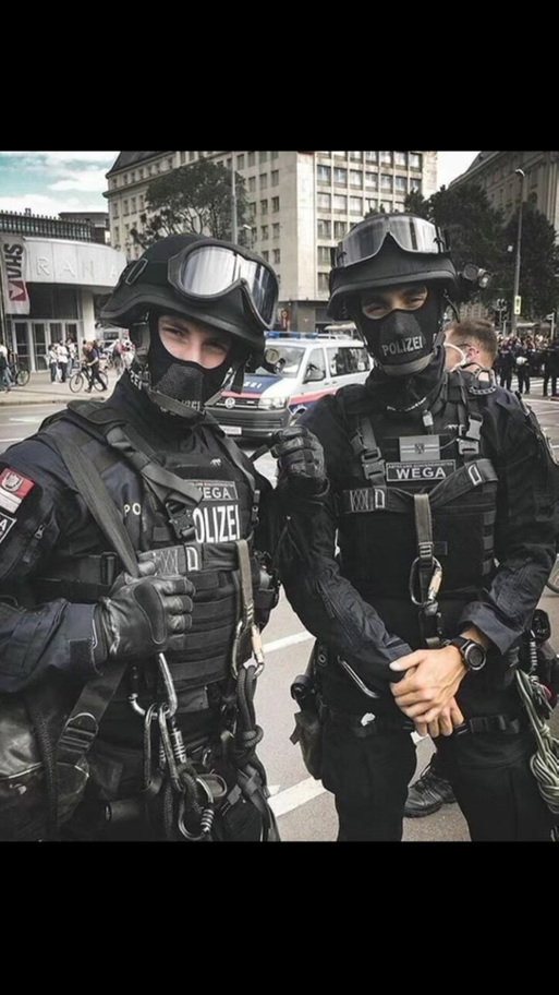 斯沃特是特警的意思吗截图