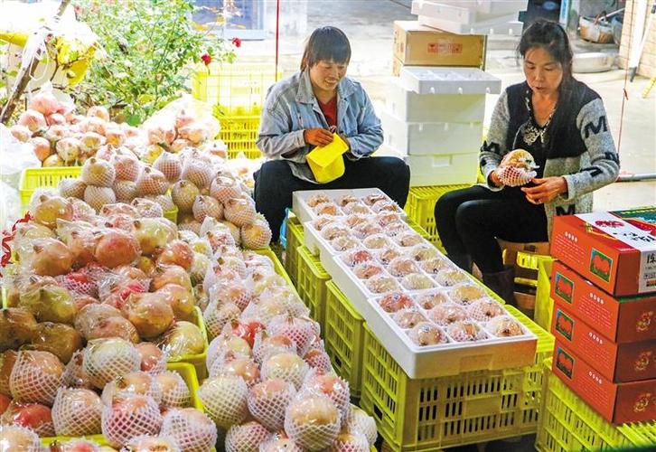 石榴销路截图