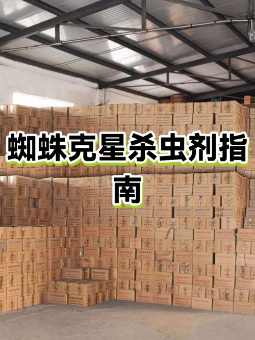 如何安全地清除家中的蜘蛛
