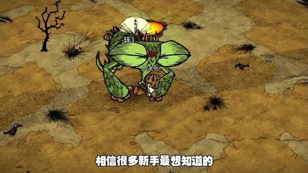 饥荒联机版聊天快捷键图标
