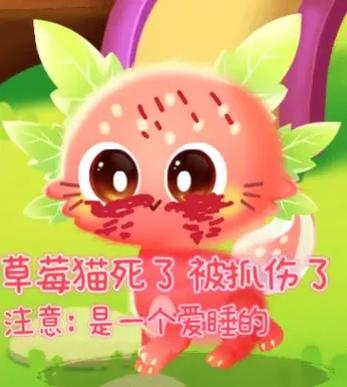 一只叫大吉的猫图标