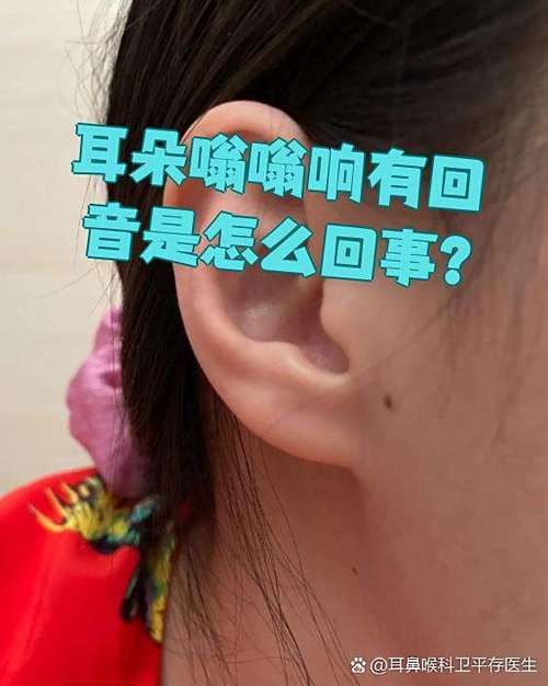 耳朵听东西有回音图标