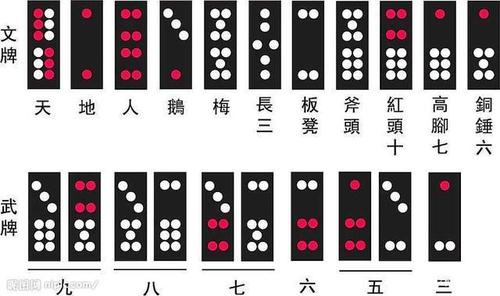 打天九口诀截图