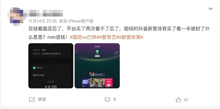 为什么爱奇艺付费付不了图标