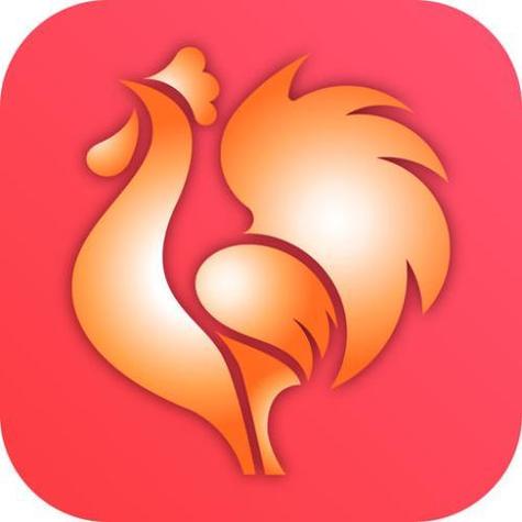 大公鸡解梦查码