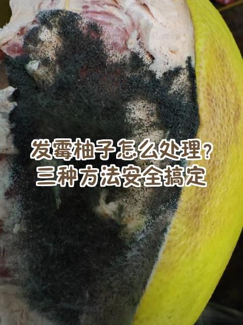柚子会发霉吗截图