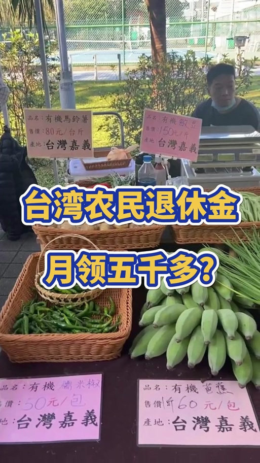 台湾军公教年金多少图标