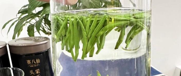 一次尝遍四大绿茶截图