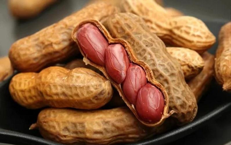 一粒花生米热量图标