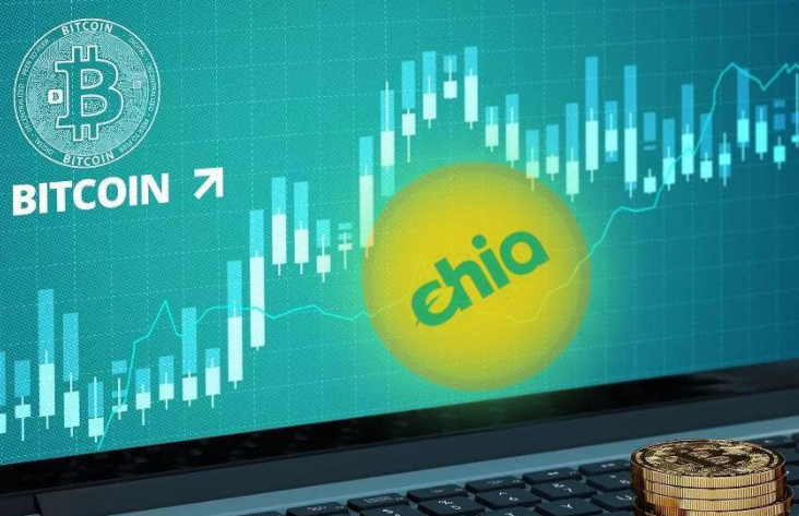奇亚 xch的最新消息截图