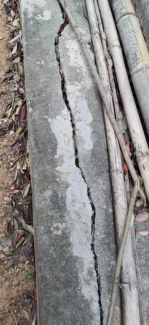 房子被放炮震裂了怎么赔截图