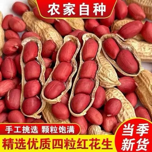 播放源红色M是哪个视频截图