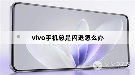 vivo手机自带的相机拍照时总是闪退图标