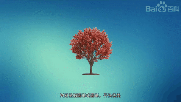 北木在北图标
