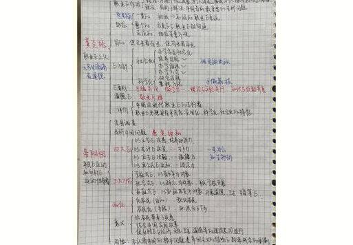 考研k学姐笔记截图