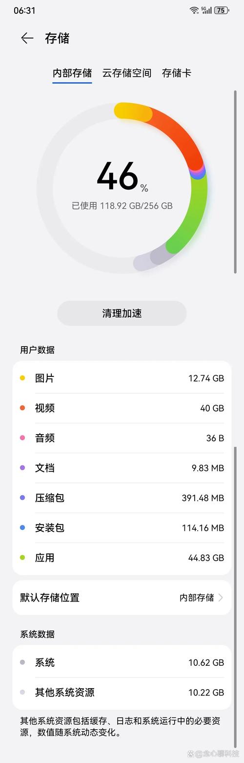 手机并没有下载应用却内存满了游戏截图