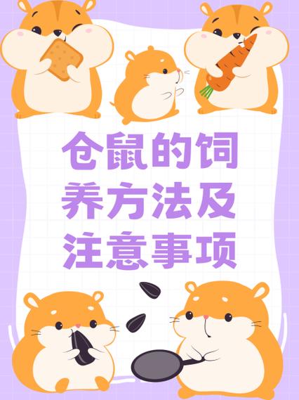 如何养仓鼠?截图