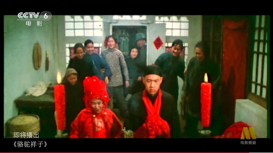 骆驼祥子完整版电影免费图标