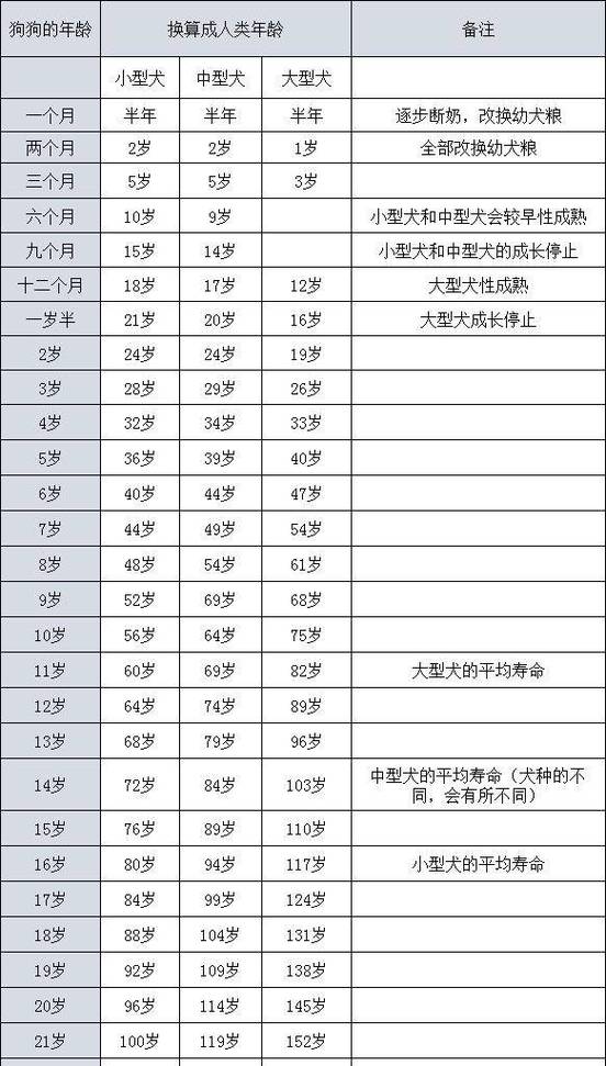 狗狗年龄与人类对照表图标
