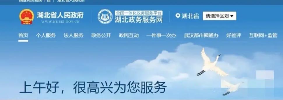 登录湖北政务服务网图标