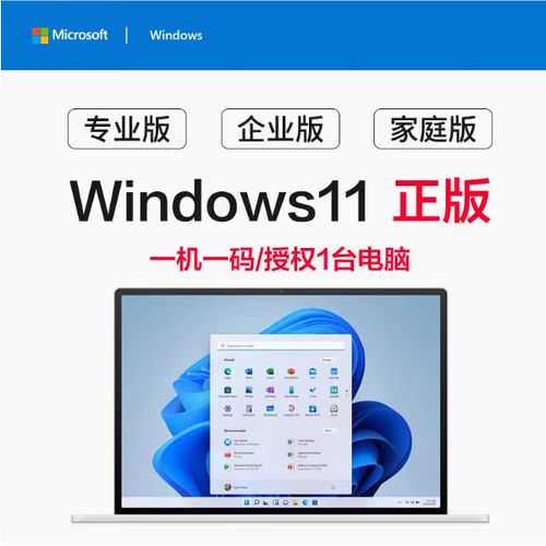 WINDOWS11专业版激活码图标
