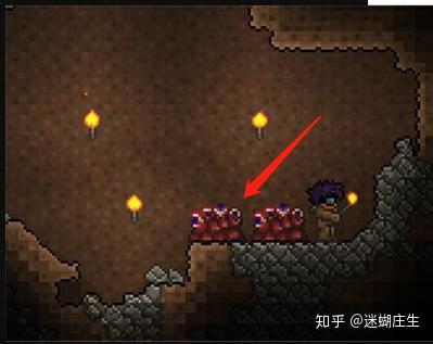 泰拉瑞亚大红是什么截图