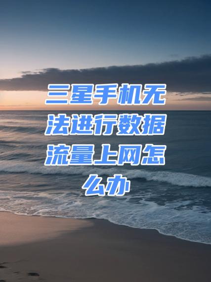 手机无法用流量上网怎么回事图标