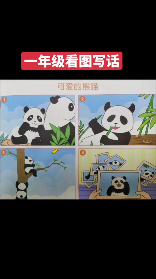 二年级熊猫写话100字图标
