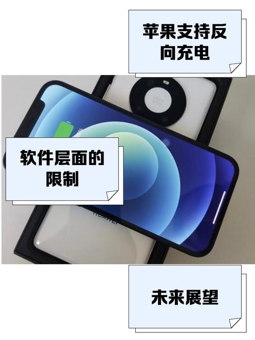 苹果11有反向充电吗
