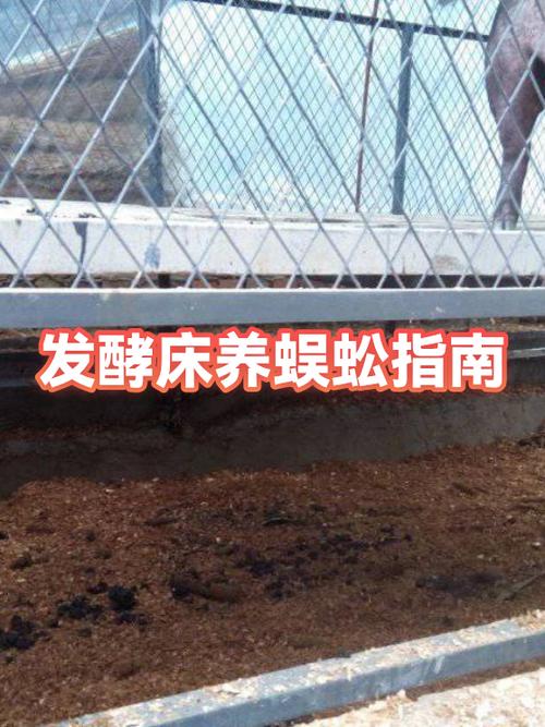 蜈蚣爬床上是什么预兆图标