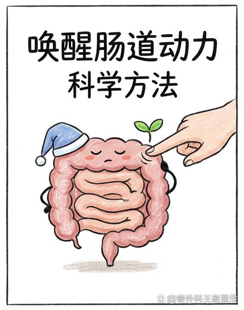 肠不蠕动的最佳治疗方法图标