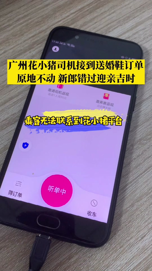 花小猪接单神器图标