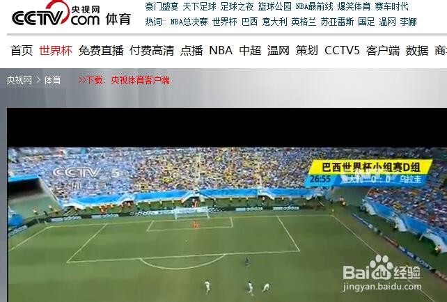 世界杯在哪看直播图标