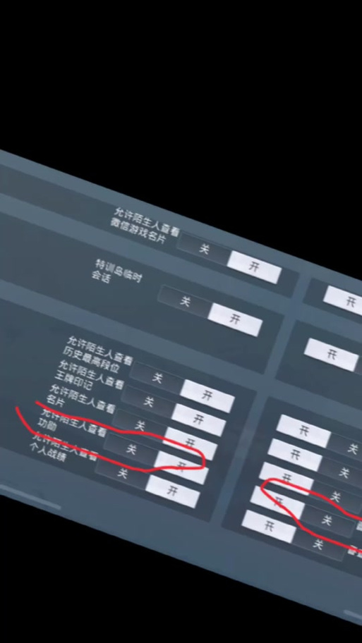 掌盟怎么查别人战绩图标