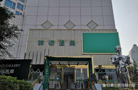 去胎记最好的医院是哪里截图