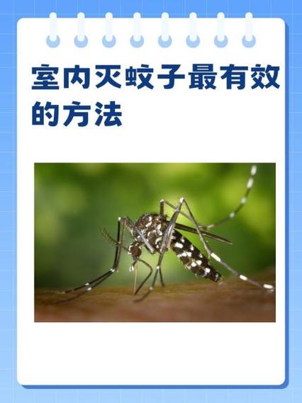 灭蚊子小妙招图标