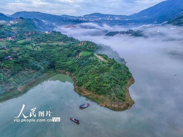巫山县信息公开网图标