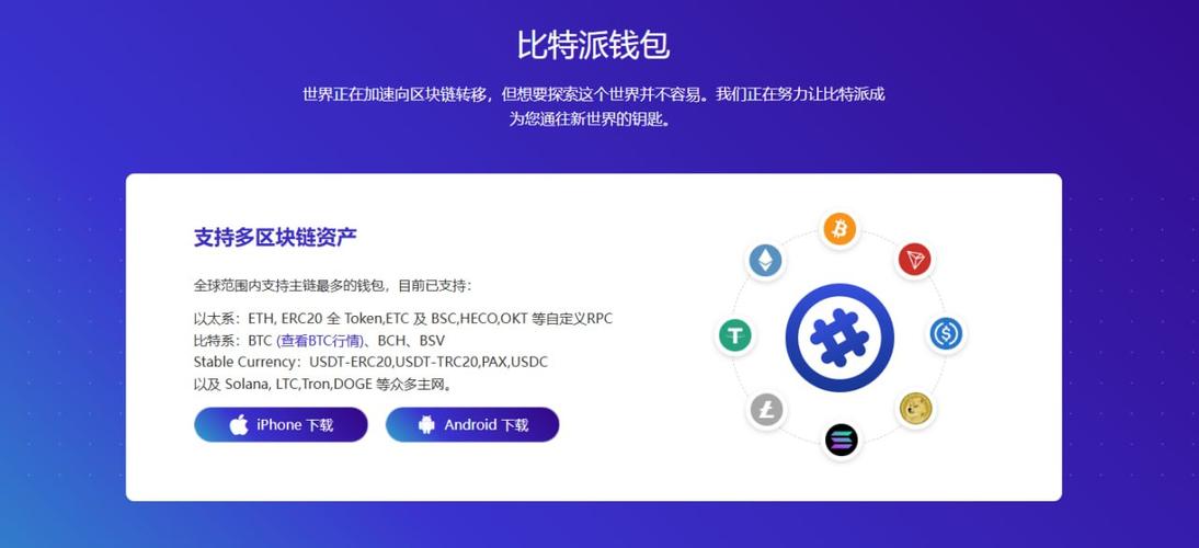比特加速官网下载最新链接图标