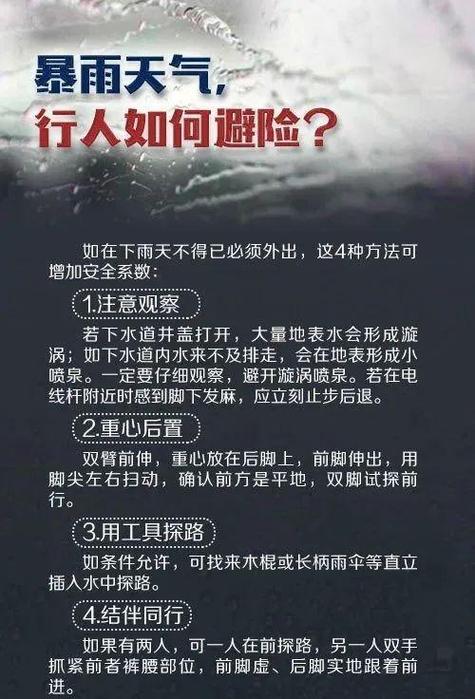暴雨攻略图标