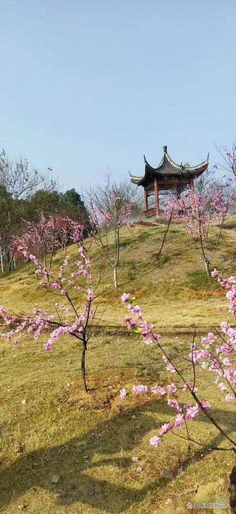 桃花岛一日游必玩景点截图