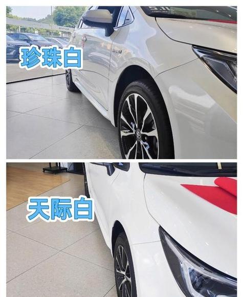 珍珠白属于什么档次图标