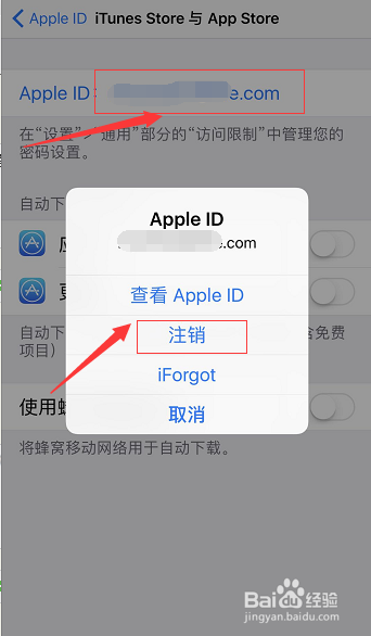 苹果怎么下载渠道服图标