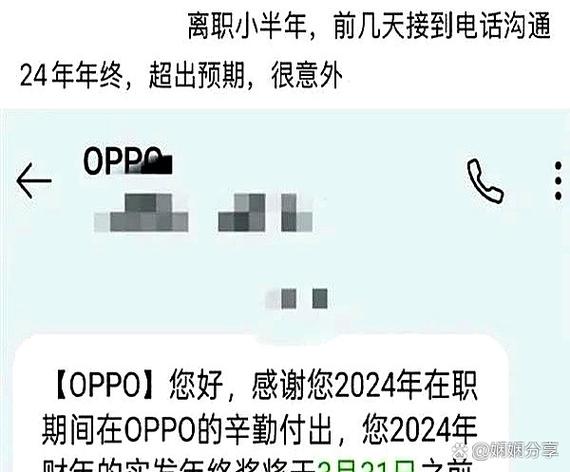 oppo固定年终奖和浮动年终奖图标