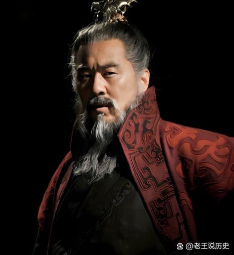 三国群英传8司马懿出仕时间截图