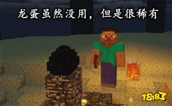 我的世界坠母图片截图