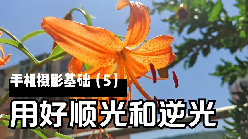 拍照逆光好还是顺光好图标